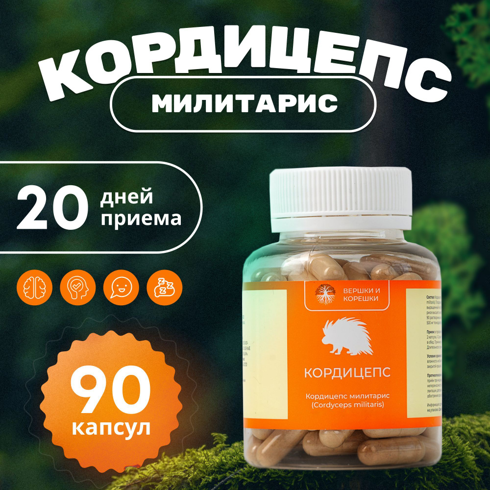 Кордицепс милитарис (Cordyceps militaris), микс мицелий и плодовые тела ...