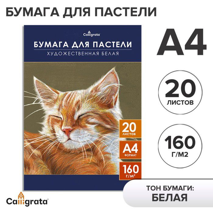Calligrata, Бумага для пастели А4, 20 листов "Кот", блок 160 г/м2, в ...
