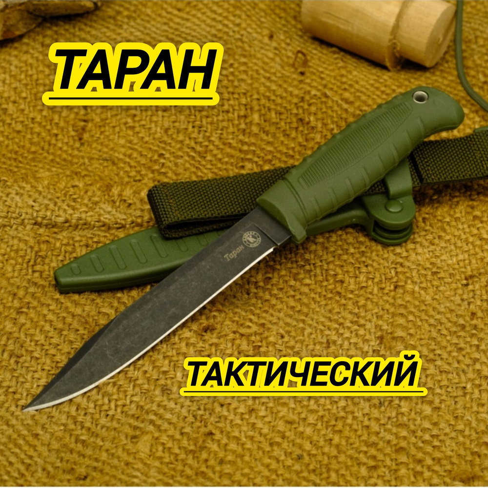 Кизляр Нож туристический ТАРАН AUS-8, ELASTRON G, ООО ПП "Кизляр" KIZLYAR KNIVES, длина лезвия ...