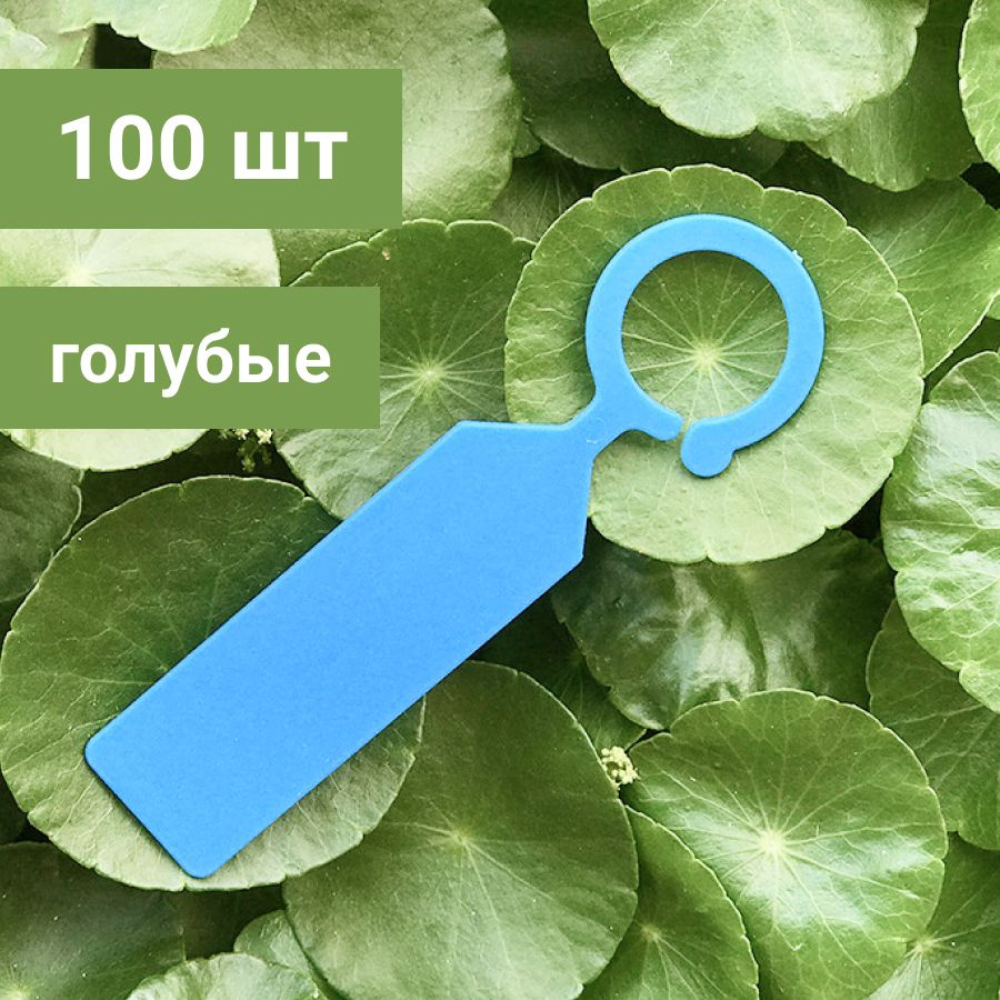 Табличка садовая ярлыки, бирки, метки для растений. Цвет голубой 100 ...