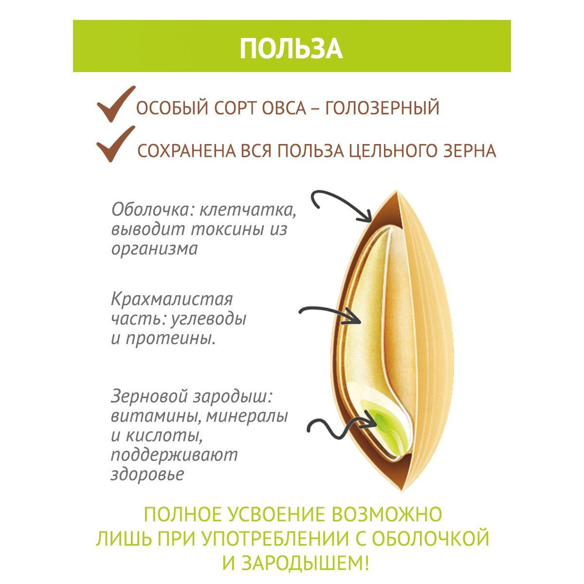 Овес голозерный резаный /Образ жизни Алтая/ крупа цельнозерновая ...