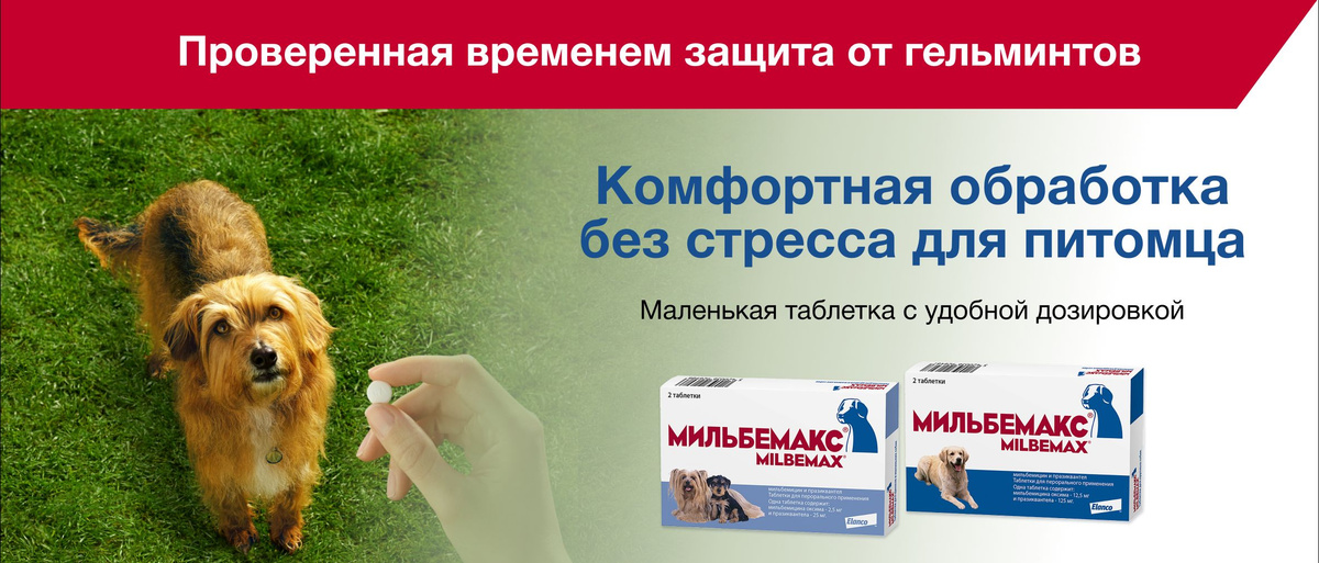 Мильбемакс®, таблетки от гельминтов для крупных собак – 2 таблетки ...