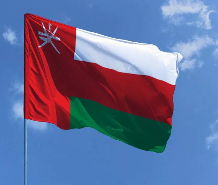 Флаг Омана 90х135 см - купить Флаг по выгодной цене в интернет-магазине ...