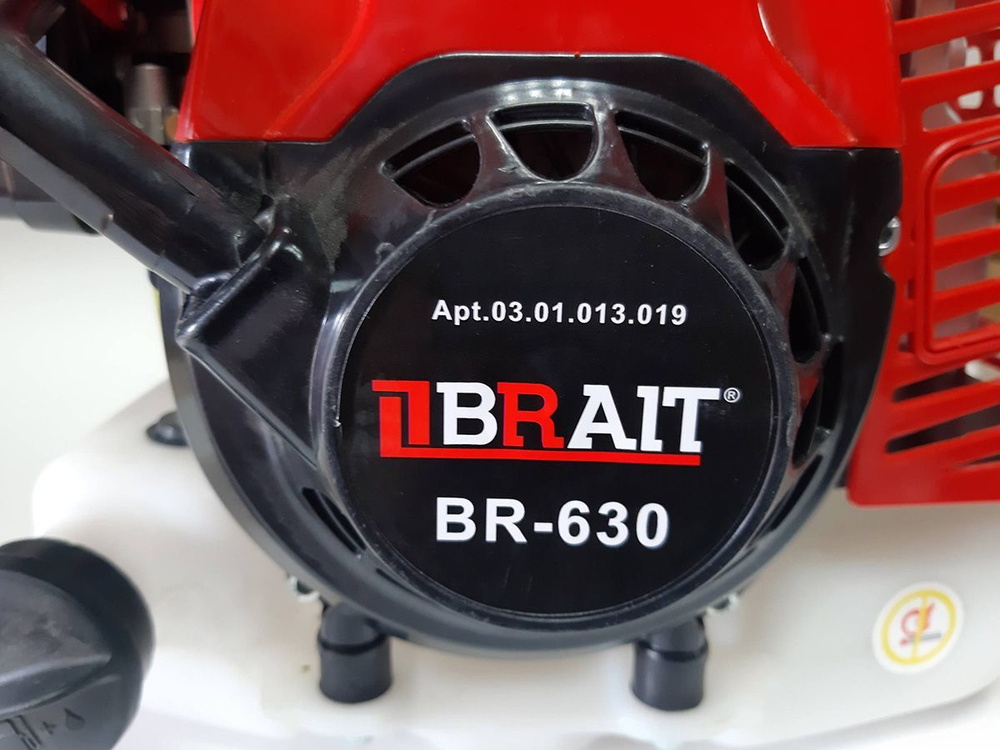 Двигатель для мототехники 2-х тактный BR-631 - купить с доставкой по ...