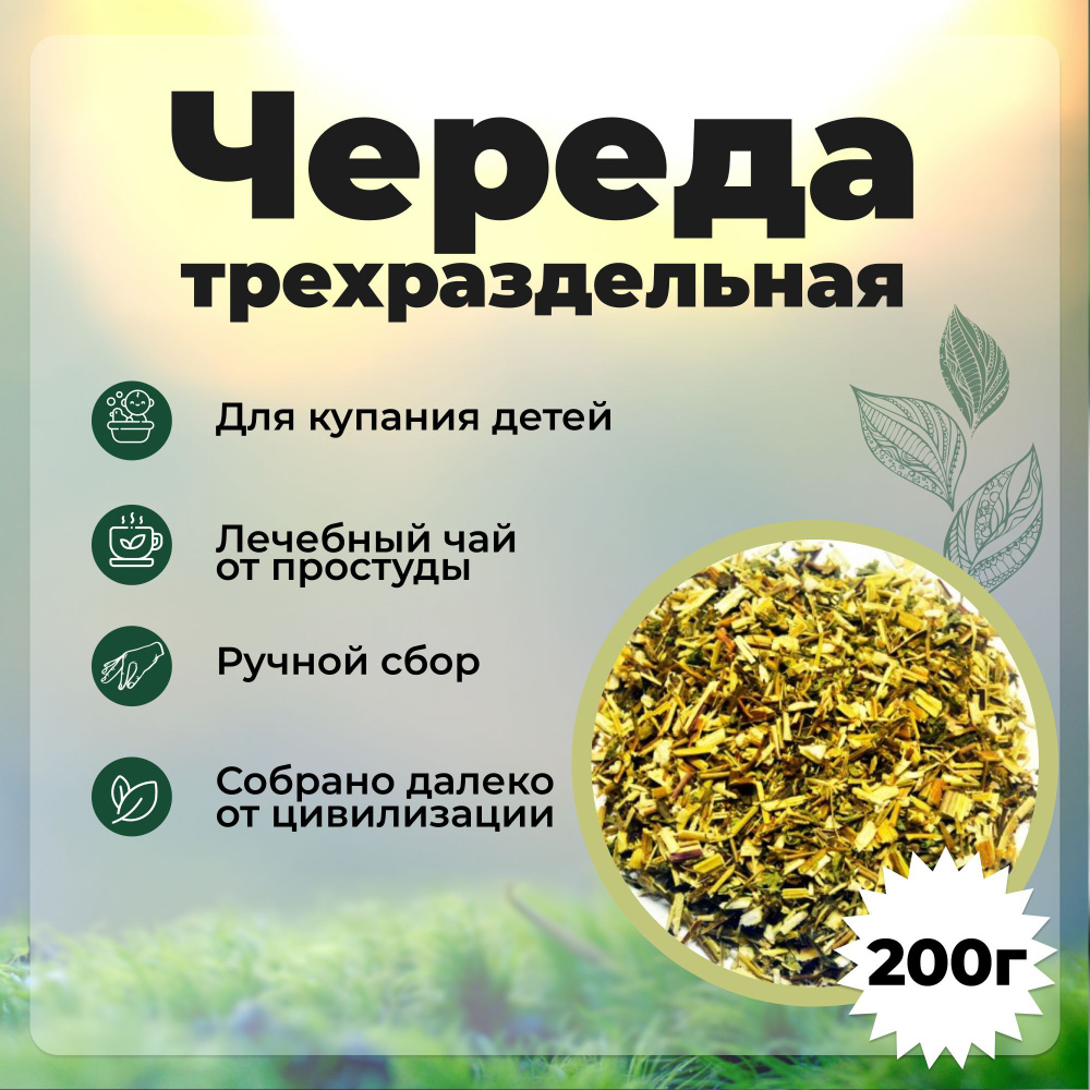 Череда трава, травяной сбор, чай, череда для купания, 100% натуральный ...