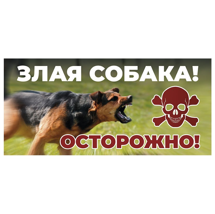Табличка, DANGER DOG, с приколом, на забор, 30х14, 30 см, 30 см ...