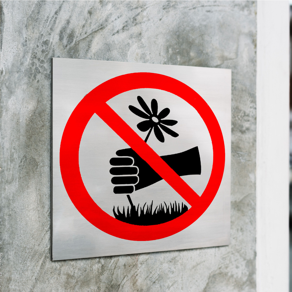 Табличка P183 "Рвать цветы запрещено" 600x600 мм купить на OZON по ...