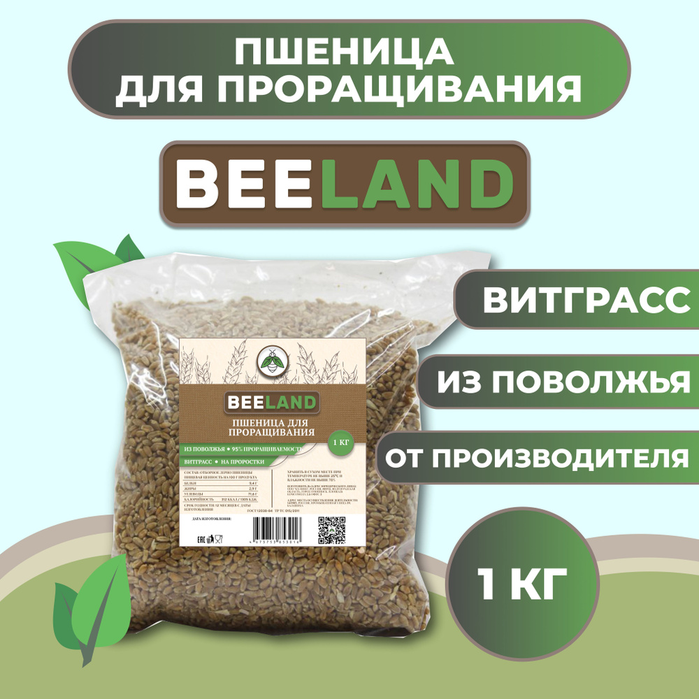 Пшеница для проращивания, 1 кг., микрозелень для проращивания, ростки ...