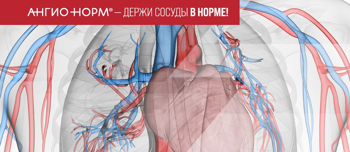 АнгиоНорм таблетки, 70 шт — купить в интернет-аптеке OZON. Инструкции ...