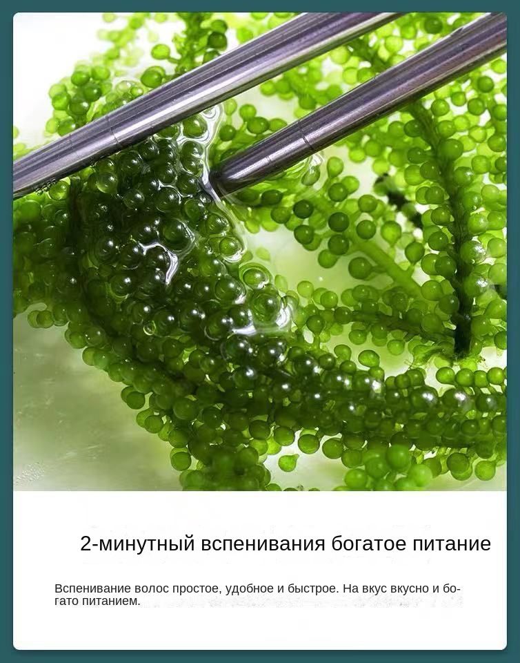 Морской виноград 100 г 4 мешка - купить с доставкой по выгодным ценам в ...