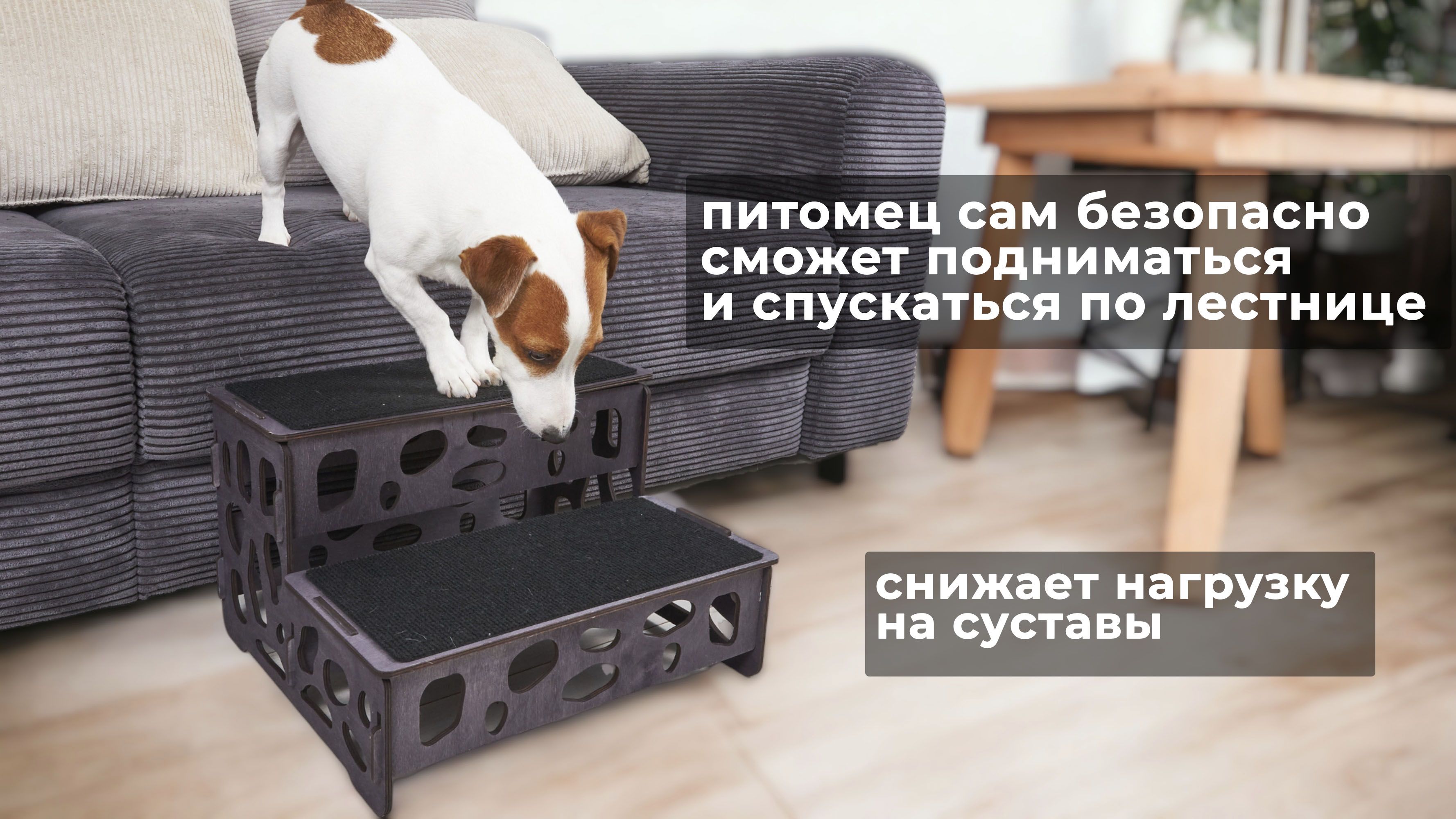 Лестница прикроватная для собак мелких пород 2 ступени (высота 26см ...