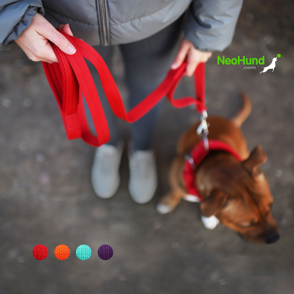 Поводок NeoHund для собак крупных и средних пород, с усиленным ...