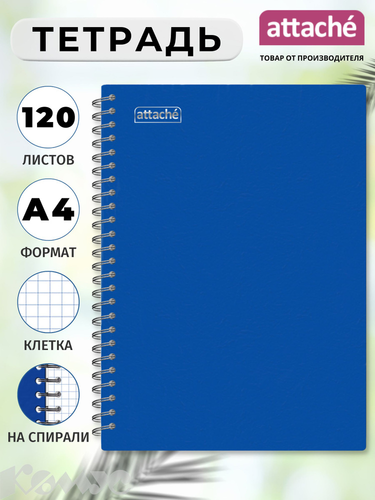 Тетрадь Attache plastiс, A4, 120 листов, в клетку, на спирали купить на OZON по низкой цене ...
