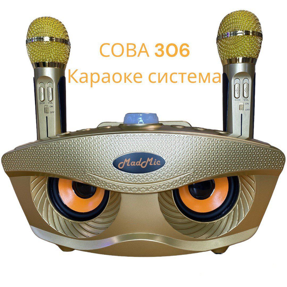Портативная караоке система "Сова"306 с двумя радиомикрофонами (золотая ...