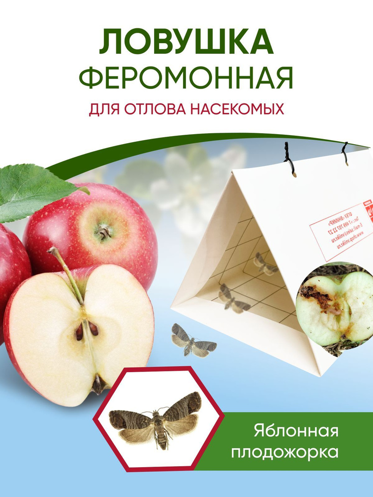 Феромонная ловушка для яблонной плодожорки и грушевой, на основе ...