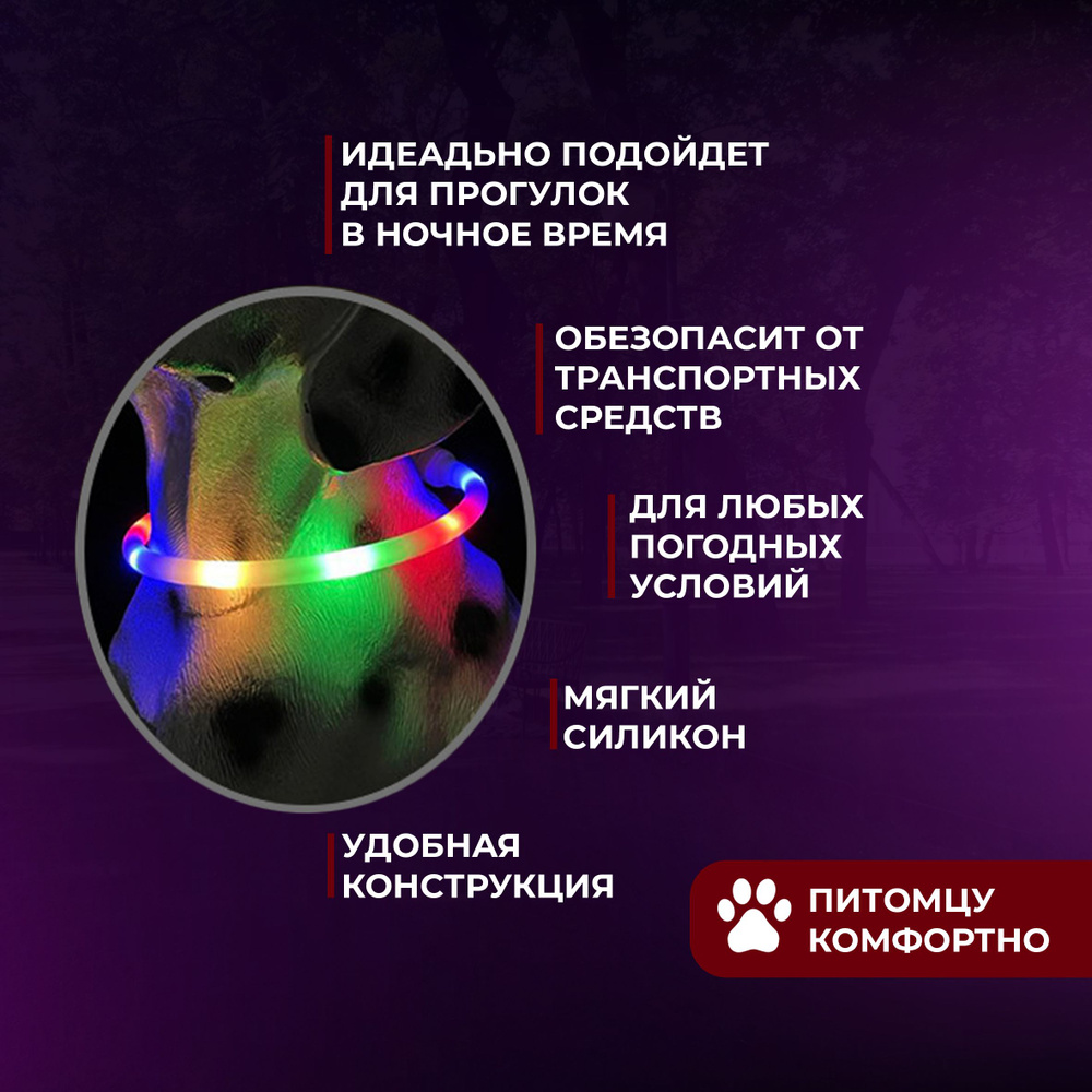 Ошейник светящийся для собак мелких средних и крупных пород C Usb