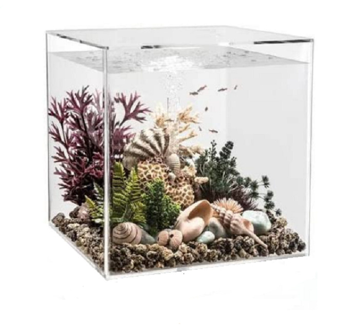 Аквариум BETTA BOX акриловый для петушков, 3 литра - купить с доставкой ...