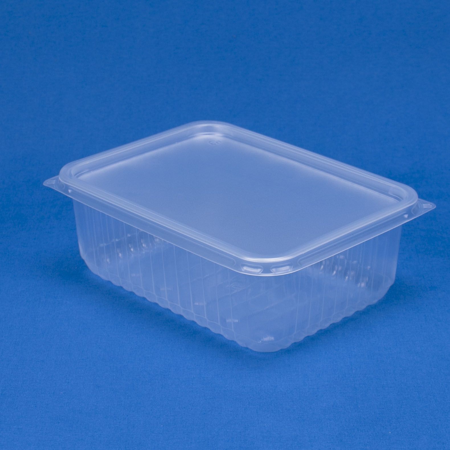 Контейнер одноразовый (100 предметов) SoftHome - купить по выгодной цене в интернет-магазине ...