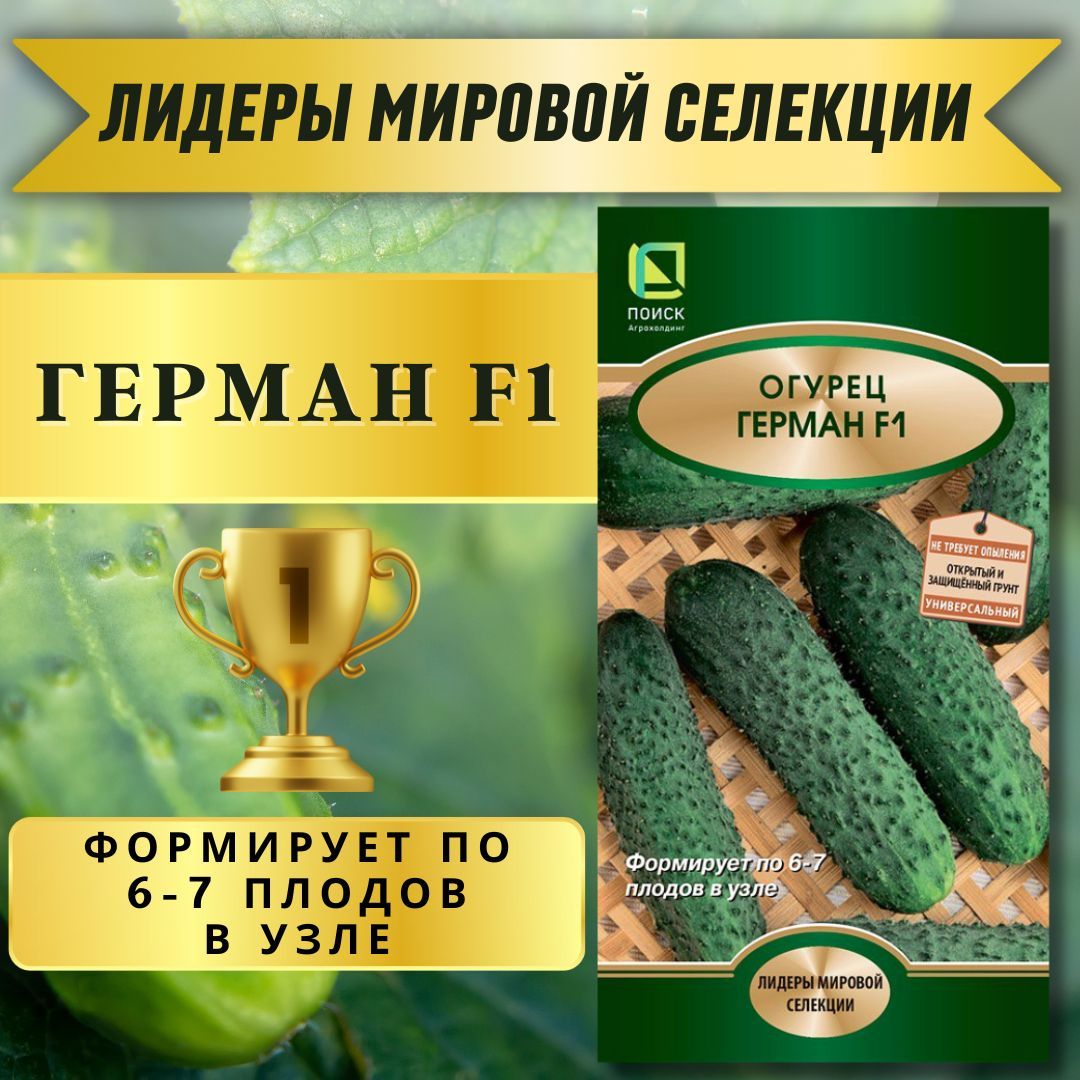 Огурцы ПОИСК Агрохолдинг lidery-ogurec_зеленый_светло-зеленый - купить ...