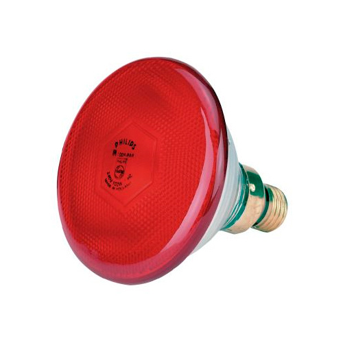 PHILIPS PAR38 IR 175W E27 230V RED лампа инфракрасная InfraRed ...
