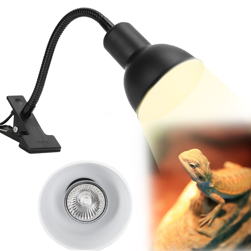 Нагревательная лампа для рептилий - купить с доставкой по выгодным ...