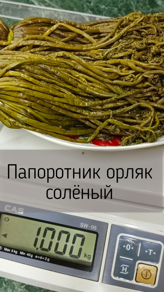 Папоротник Орляк, соленый. 1кг. пл.пак купить на OZON по низкой цене ...