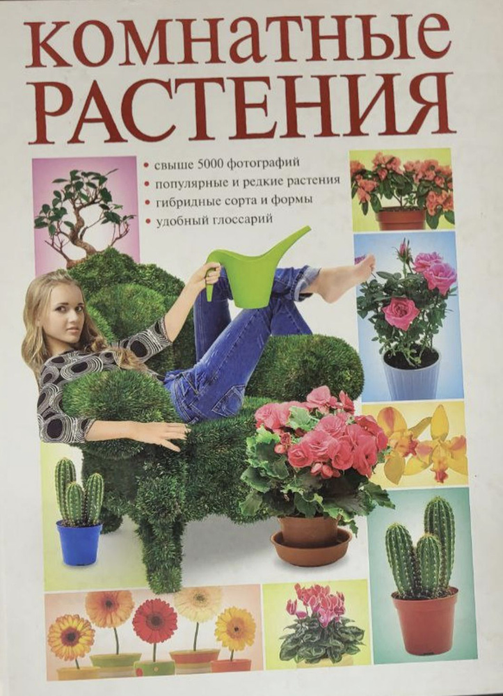 Комнатные растения - купить с доставкой по выгодным ценам в интернет ...
