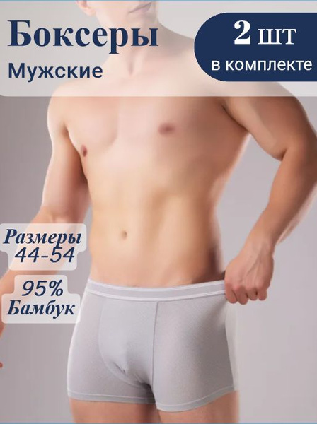 Комплект трусов Мужской ZEVS боксеры Бамбуковое волокно светло-серый, размер 48 Средняя Домашний ...
