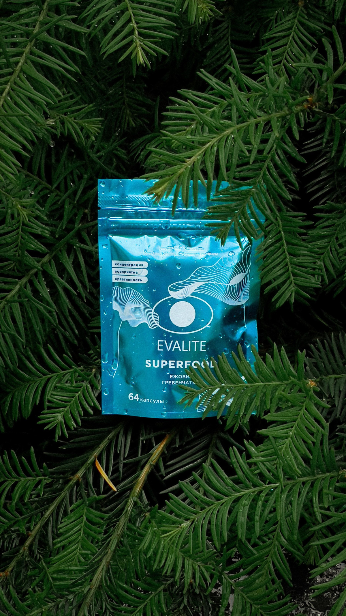 Ежовик гребенчатый Evalite.Superfood во флаконе купить на OZON по ...