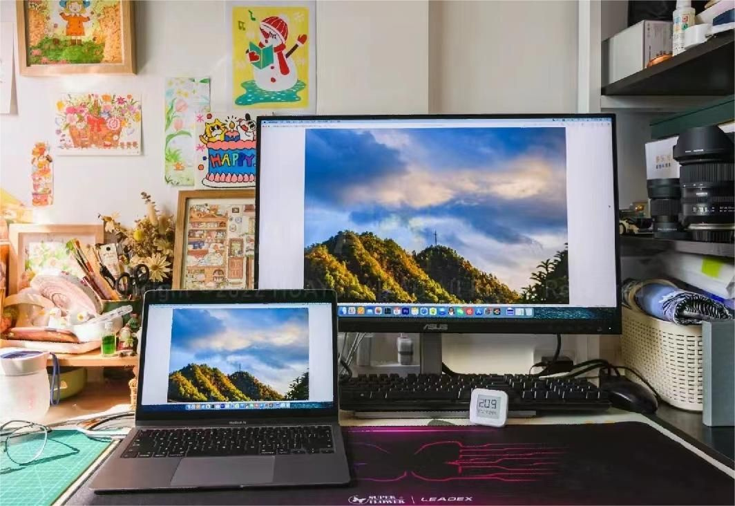 Калибратор монитора Datacolor Spyder Express купить на OZON по низкой ...