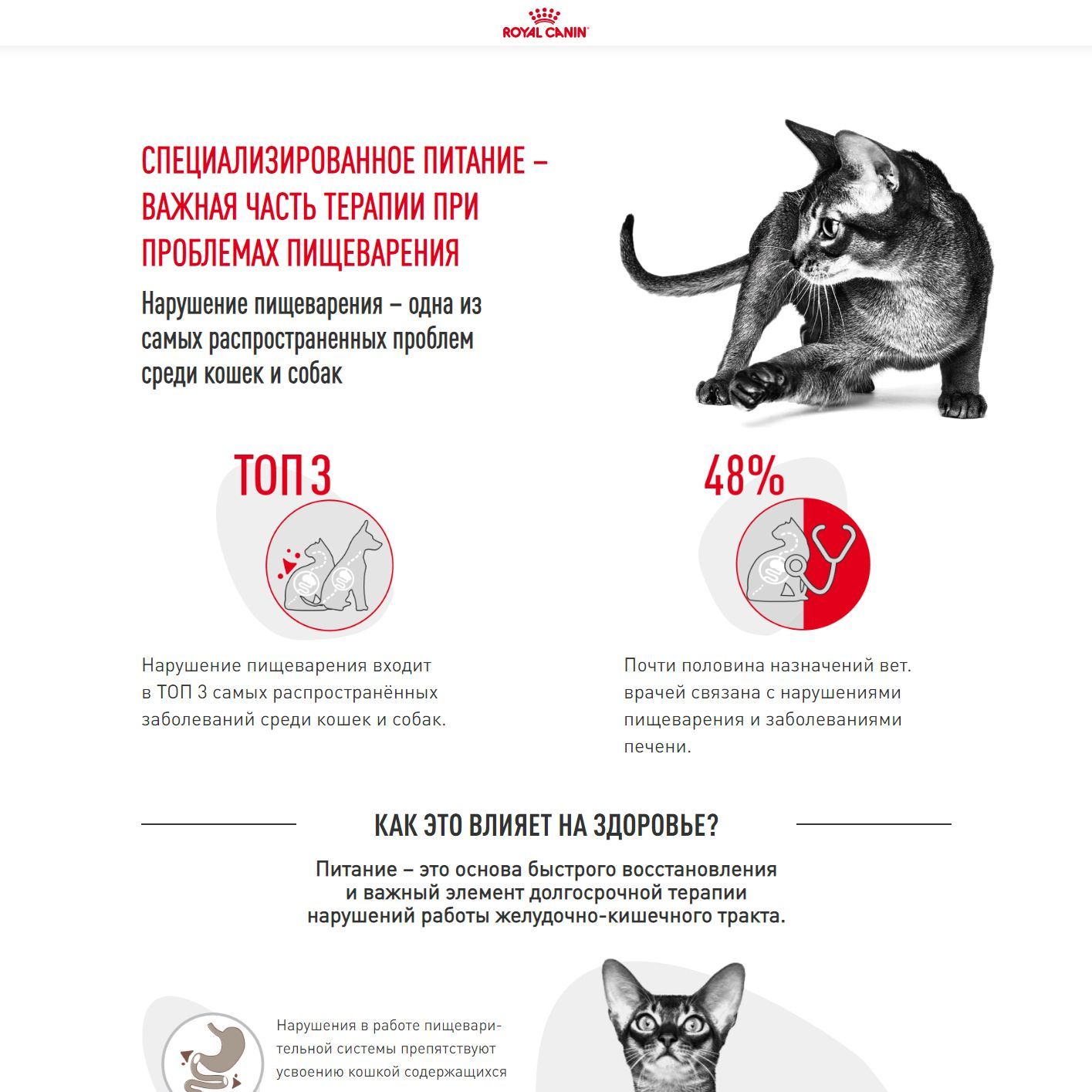 Royal Canin Gastrointestinal (Роял Канин Гастроинтестинал со вкусом ...