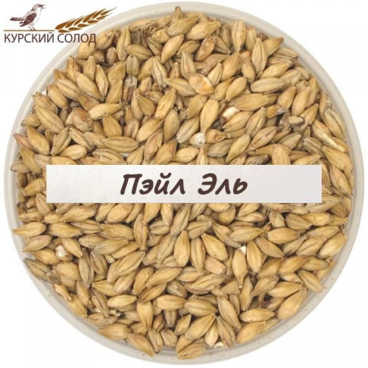 Солод ячменный для пива/виски Пэйл Эль (Pale Ale malt) пакет 1 кг ...