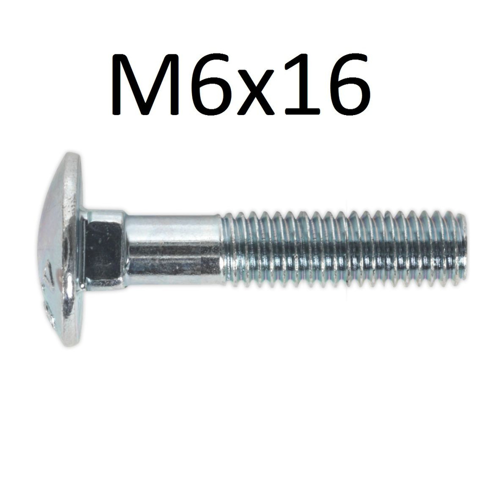 Винт M6 x , головка: Полукруглая, 20 шт - купить по выгодной цене в интернет-магазине OZON ...