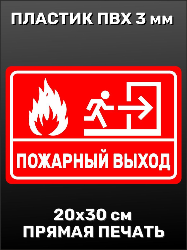 Табличка информационная - Пожарный выход 20х30 см, 20 см, 30 см ...