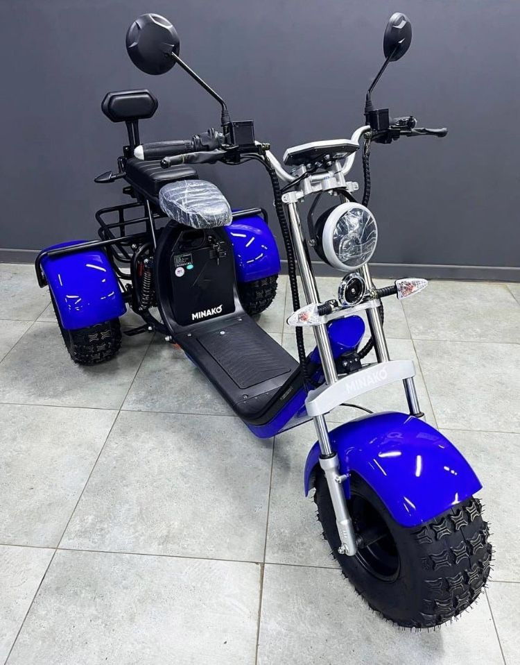 Электросамокат minako Rex trike - купить по выгодной цене в интернет ...