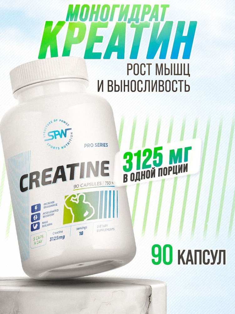 Креатин для набора массы SPW Creatine caps 90 капс., 625 мг. спортивное ...