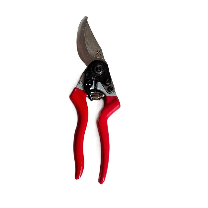 Felco Секатор купить на OZON по низкой цене (1906664168)