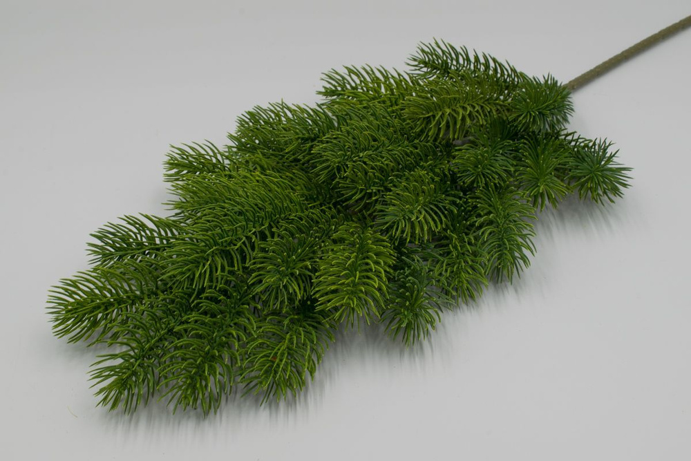 Купить Ветка еловая 65 см по выгодной цене в интернет-магазине OZON.ru (1204936560)