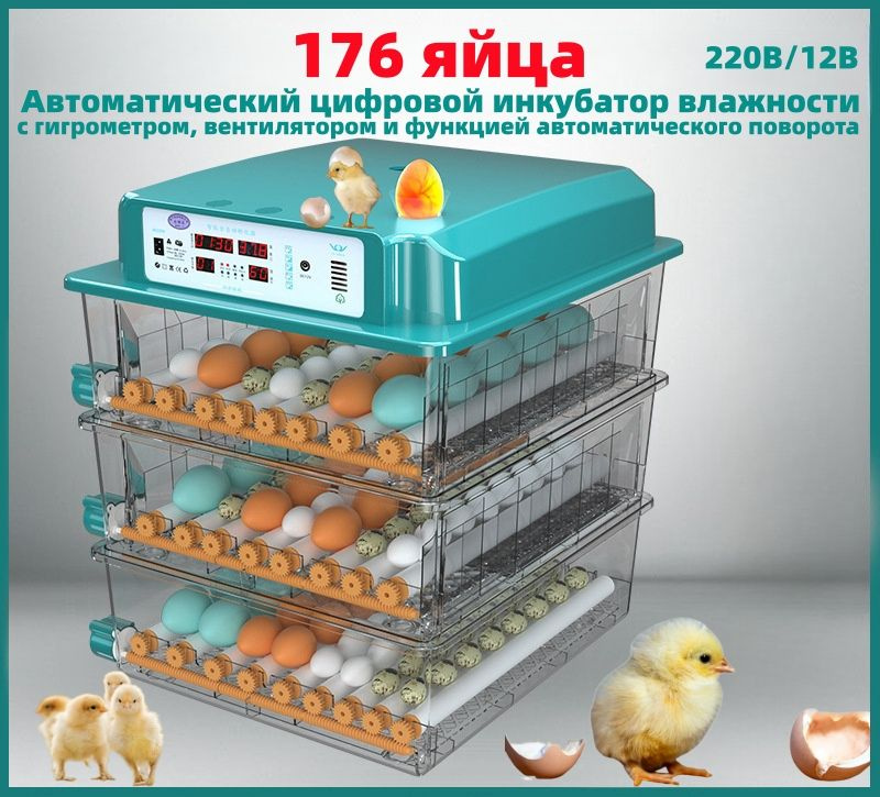 Полностью автоматический инкубатор на 176 яиц, 220 В/12 В, двойное ...