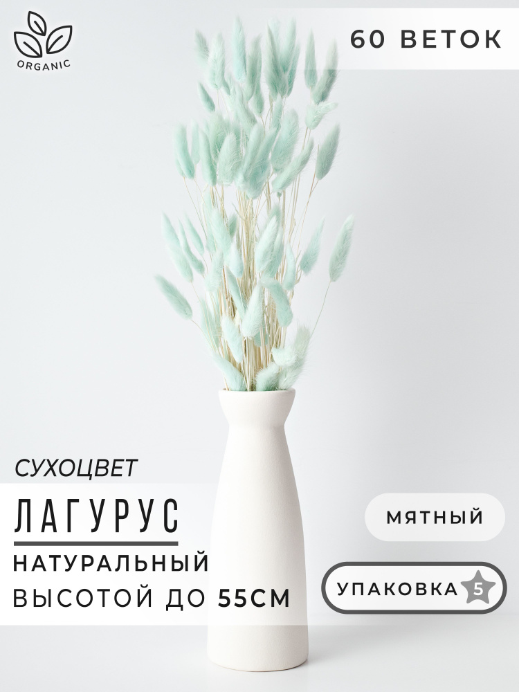 Сухоцветы ARANTA Лагурус, Сухоцвет, 55 см, 70 гр, 60 шт купить по ...