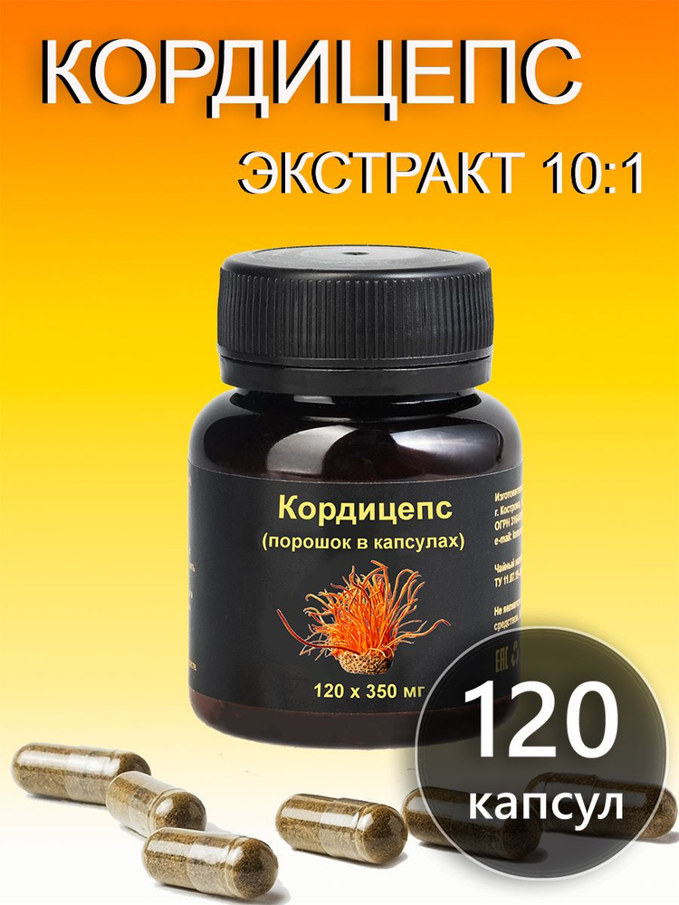 Экстракт Гриба Кордицепс в капсулах (Cordyceps militaris) - 120 капсул ...