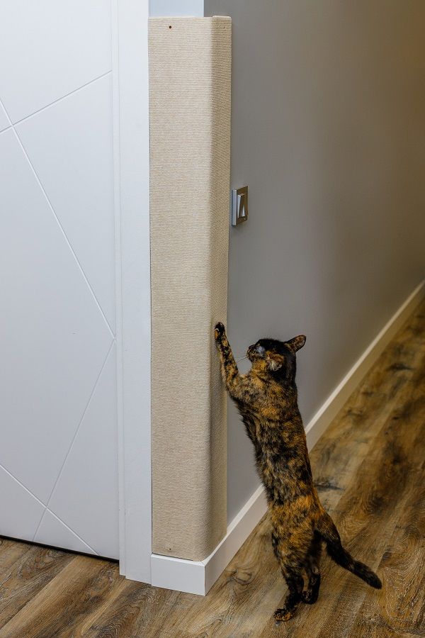 Когтеточка для кошек Джесси угловая высокая настенная напольная защита ...