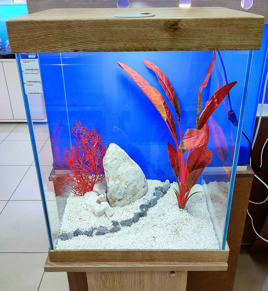 Аквариум 50 литров - купить с доставкой по выгодным ценам в интернет ...