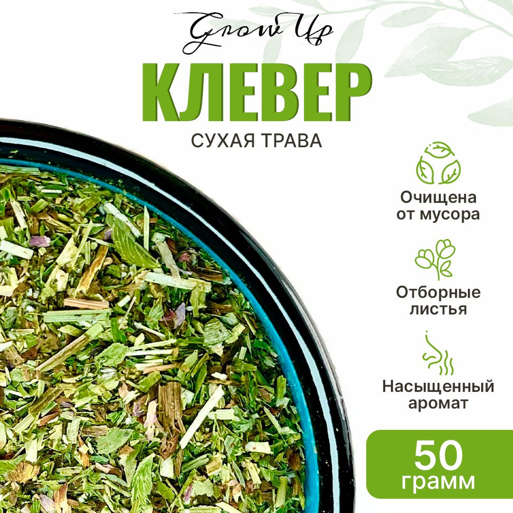 Клевер 50 гр - трава сушеная, травяной чай, фиточай, фитосбор (Кашка ...