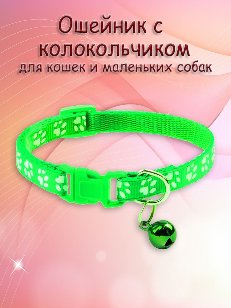 Ошейник для кошек и щенков - купить с доставкой по выгодным ценам в ...