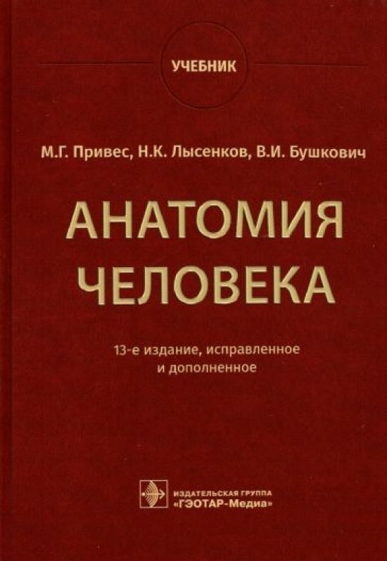 Анатомия человека : учебник - купить с доставкой по выгодным ценам в ...