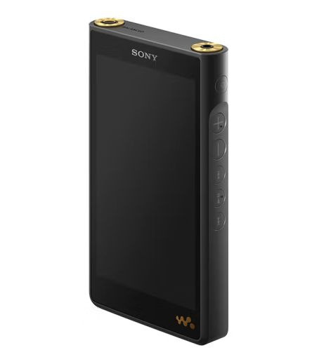 MP3-плеер Sony NW-WM1AM2, 128 ГБ купить по выгодной цене в интернет ...