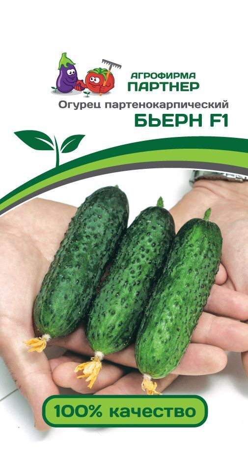 Огурцы Агрофирма Партнер ОгурБьерн - купить по выгодным ценам в ...