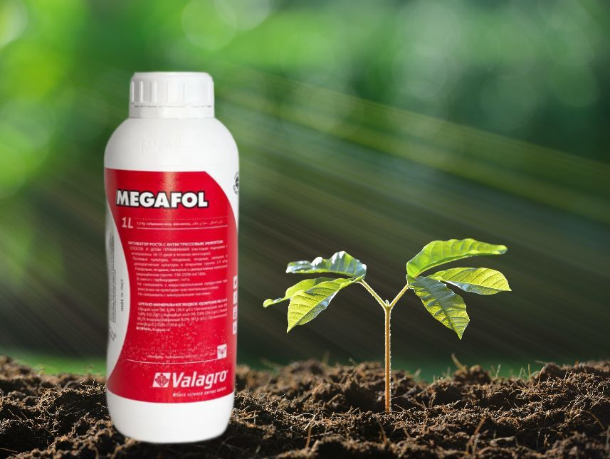 Биостимулятор Valagro Валагро Мегафол 1 л - купить с доставкой по ...