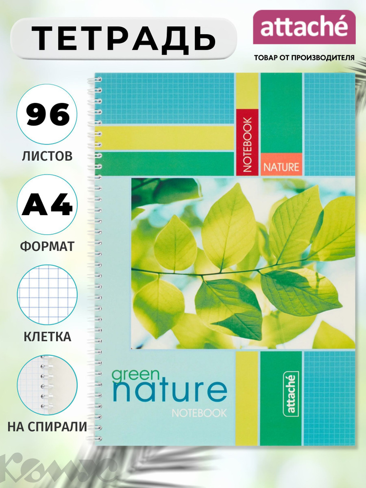 Тетрадь Attache, 96 листов. в клетку, Green Nature. - купить с ...